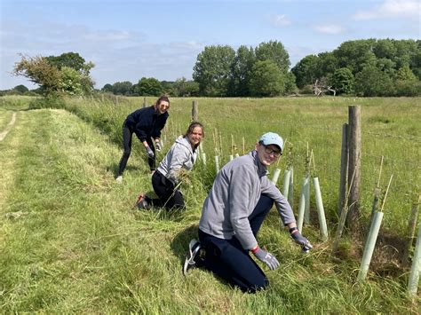 Support Us The Tree Council