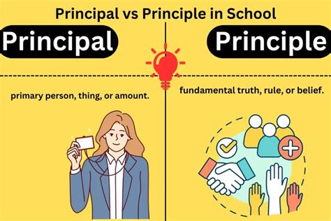 Principal Vs Principle Understanding The Key Differences With Examples