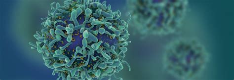Ai Reveals Prostate Cancer Is Not Just One Disease R Hypeurls