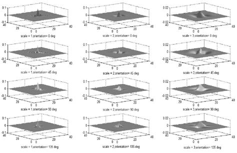 Bank Of Log Gabor Filters With Scale 3 And Orientation4 A Total Of