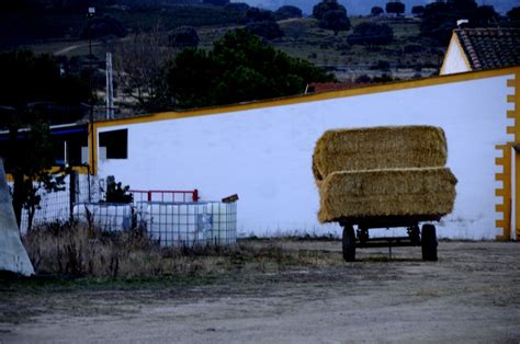 Paja En El Carro Por Tony Navarro Fotografía Turismo De Observación
