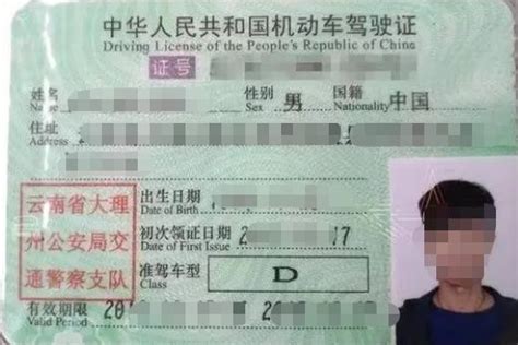C1d是什么意思 有驾