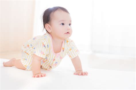 5年生 理科 ヒトの誕生の導入はエコー写真 freedu