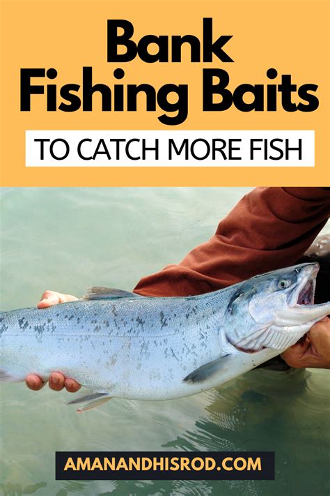 Best Bank Fishing Bait To Catch More Fish Artofit