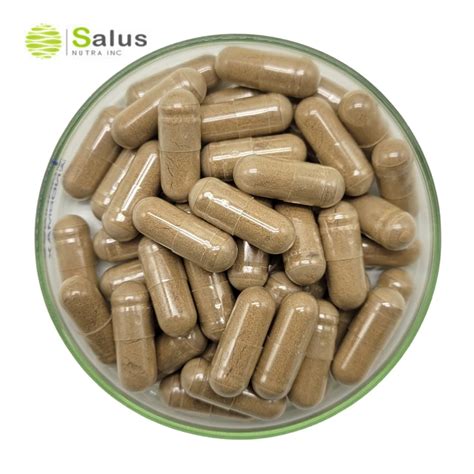Gymnema Sylvestre Capsules Gymnema Extract With Berberine Hclquercetin