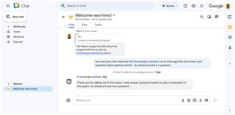 Answer Questions Based On Chat Conversations With A Gemini Ai Chat App