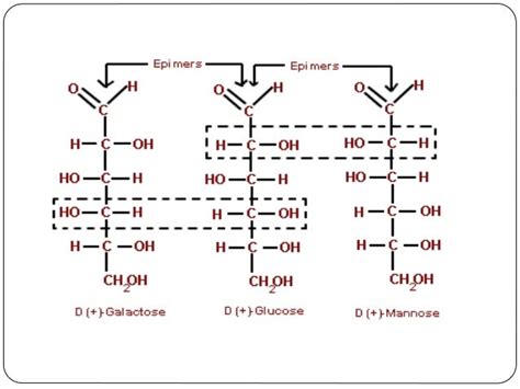Monosaccharides Structural Aspects