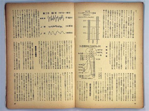 栄養と料理デジタルアーカイブス｜ 昭和28年1953年11月第19巻第11号