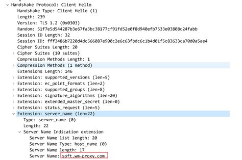 用Rust手把手编写一个Proxy 代理 TLS加密通讯 问蒙服务框架 博客园