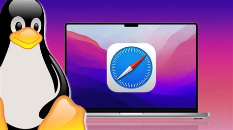 Macos Vs Linux Lequel Est Meilleur