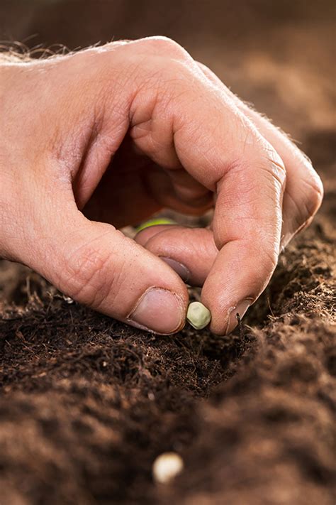 Spac Information Teract