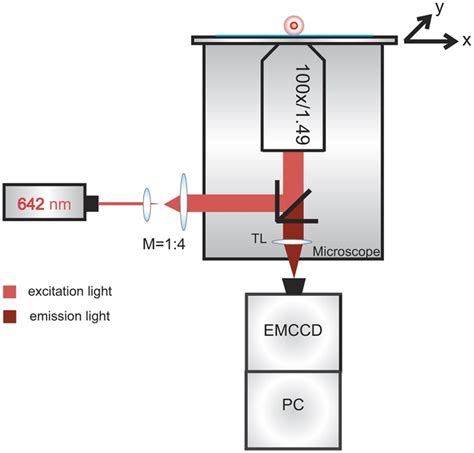 Microscope Sketch At Explore Collection Of