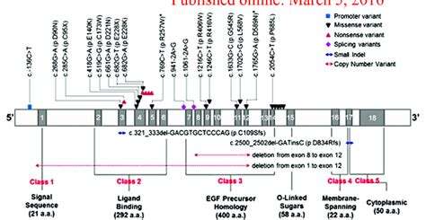 Location And Characteristics Of Mutations On Ldlr In Korean Fh Patients
