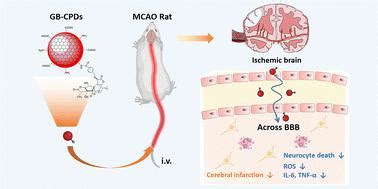 B Biomaterials Science X Mol