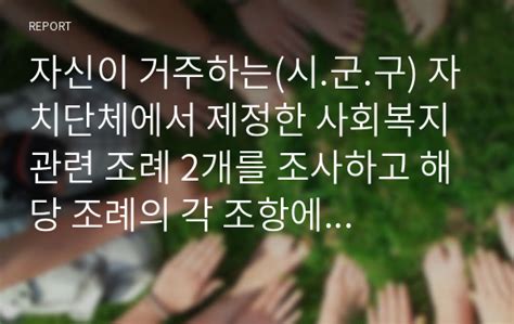 자신이 거주하는시군구 자치단체에서 제정한 사회복지관련 조례 2개를 조사하고 해당 조례의 각 조항에 입각한 문제점과