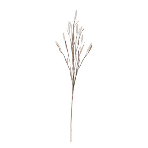 Tail Grass Manufacturers China Tail Grass Factory And Suppliers