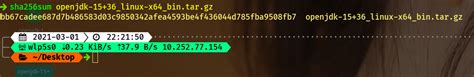 Sha256sum系列命令检测文件完整性 Csdn博客