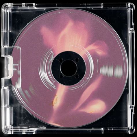 Cd Spotify Playlist Cover Sfondi Rosa Vinili Organizzazione
