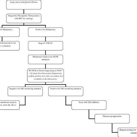 Proposed Algorithm For Testing Of Malignant Pleural Effusion Mpe