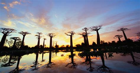 The Wonders Of Madagascar Huffpost Uk Life