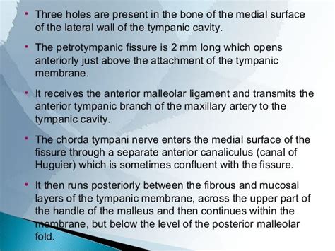 Anatomy Of Middle Ear Cleft