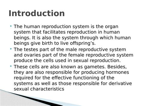Human Reproduction Systems Safe Sex And Prevention