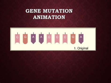 Unit Ii Polyploidy Mutation And Hybridization With Reference To Medicinal Plants Pdf Genetics