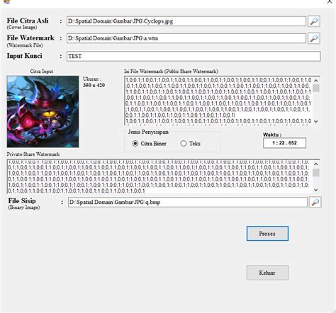 watermarking check view extraction process binary image insertion