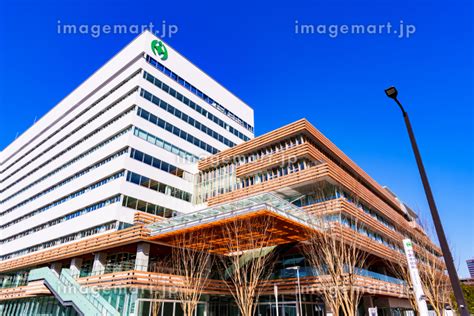 竣工 した 千葉市庁舎 【 千葉市 の イメージ 】（＊敷地外の公道から撮影しています）の写真素材 [214831494] イメージマート