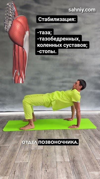 Самые эффективные упражнения для ягодиц и тазобедренных суставов Youtube