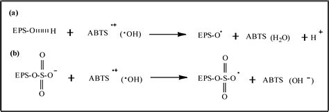 Molecules Free Full Text Sulfation And Enhanced Antioxidant