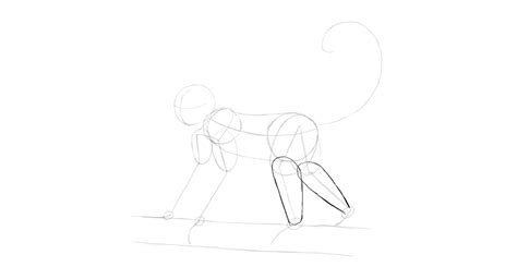 How To Draw A Monkey Step By Step Envato Tuts
