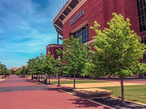 RootAnchor Below Grade Tree Support Tree Stake Solutions