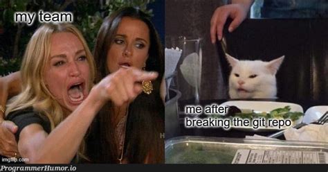 DontForcePush ProgrammerHumor Io
