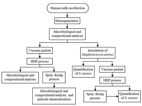 Staphylococcus Aureus Inactivation And Maintenance Of Macronutrients Of Human Milk By High