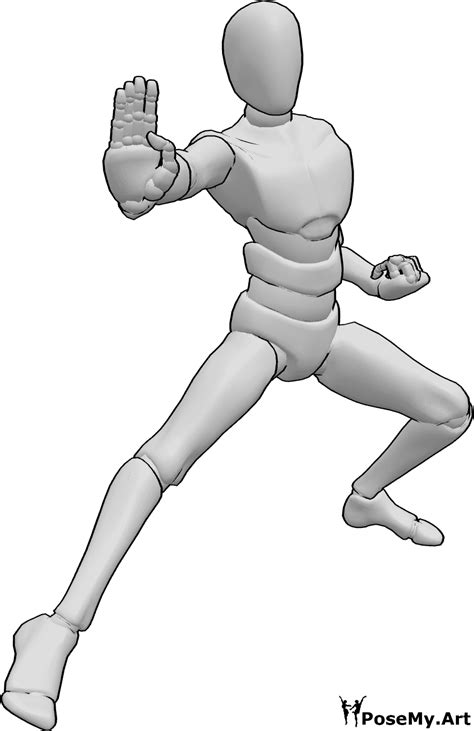 Karate Poses Inviting Fight Karate Pose Posemyart