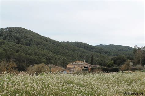 Qué ver en la localidad de Sant Cugat del Vallès Viajares