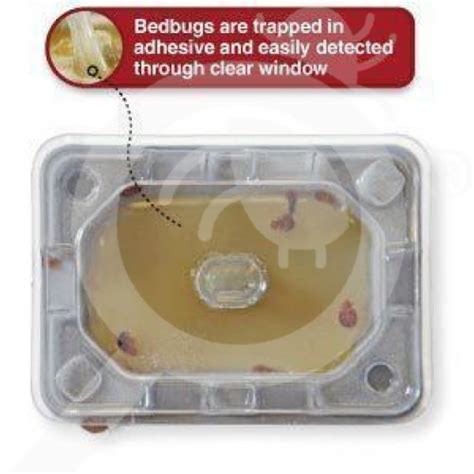 Catchmaster Bds Sldr96 Bedbugs Adhesive Glue Trap Manufactured From