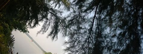 Basirhat খেলা ছেড়ে দিলেন লিওনেল মেসি। আর্জেন্তিনীয় এই ফুটবল তারকা