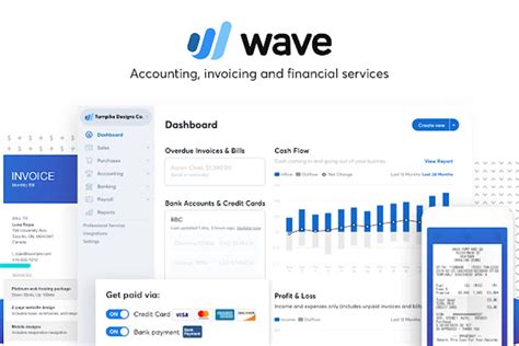 Riding The Business Tide A Comprehensive Guide To Wave Accounting