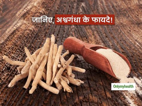 Health Benefits Of Ashwagandha In Hindi। अश्वगंधा के फायदे बताएं
