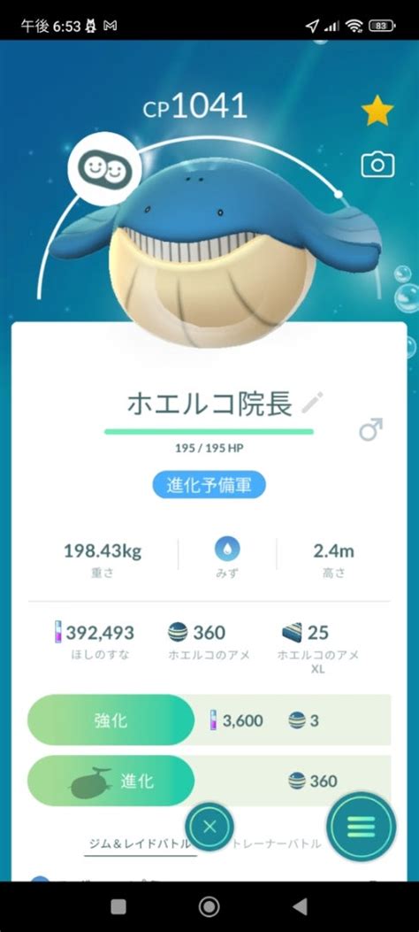 ポケgo：ホエルオー Vision ありのまま