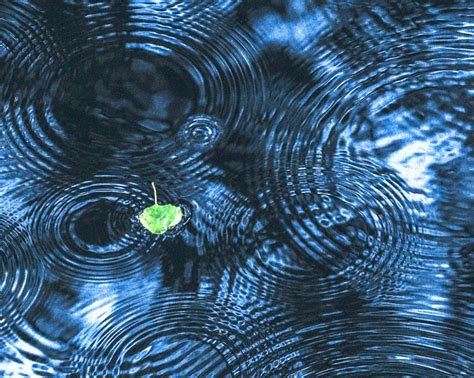 Iarpp Australia What Is Relational Psychoanalysis