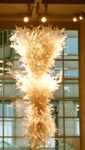 Contradiction And Complexity Ryan Therapy Services