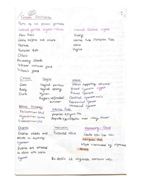 SOLUTION Nursing Anatomy Class Notes Female Genitalia Endocrine System Spinal Cord