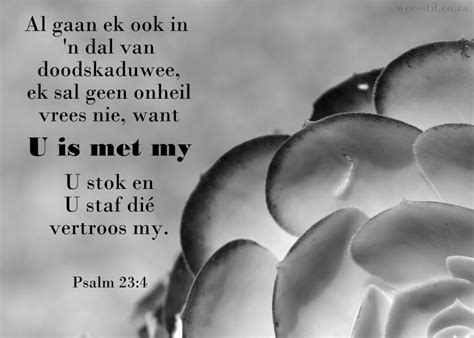 God Veg Vir Jou Wees Stil