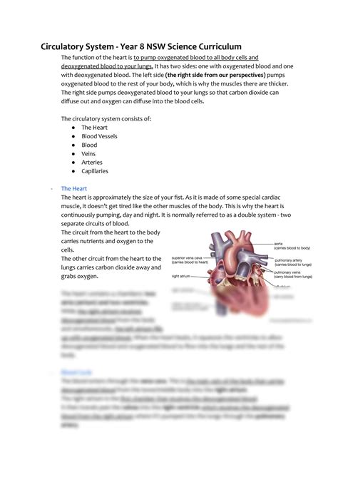 Solution Circulatory System Notes Studypool