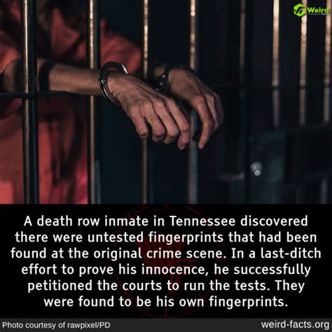 Weird Facts