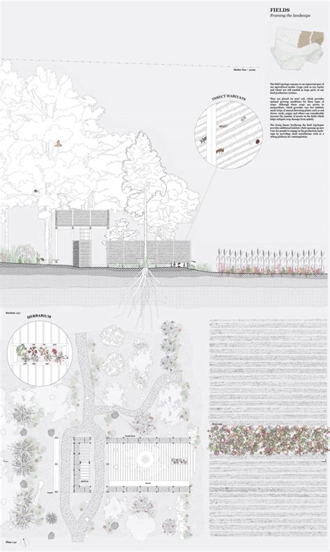 The Field Typology Landscape Architecture Diagram Architecture Presentation Architecture