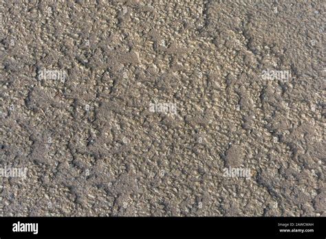 Side Lit Rough Surface Of A Rural Country Road Possibly Ravelling